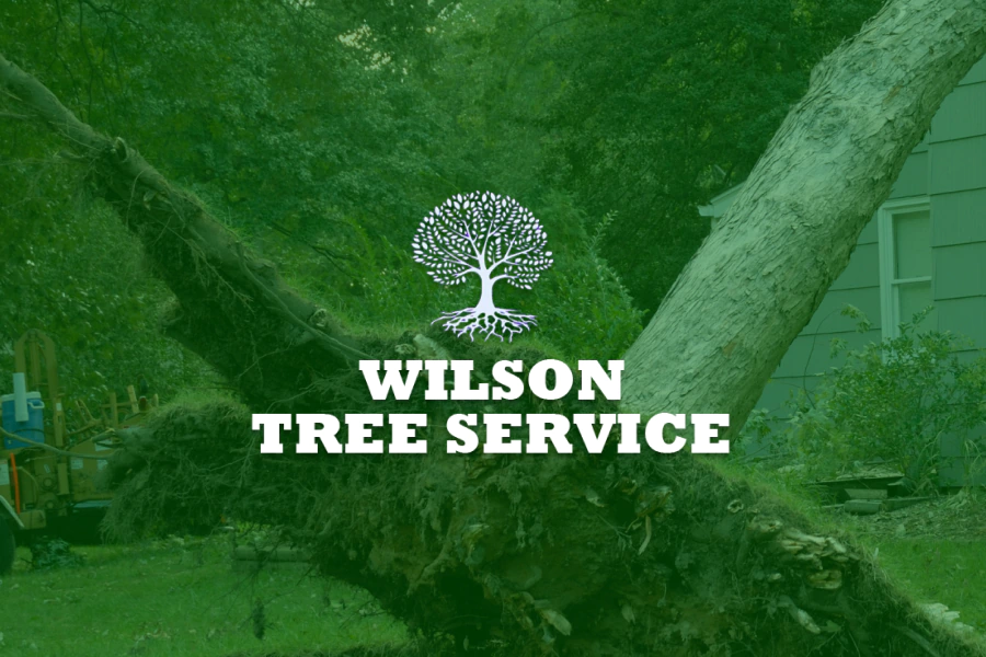 Tree Trimming Lone Oak, TX | Free Estimates Available!